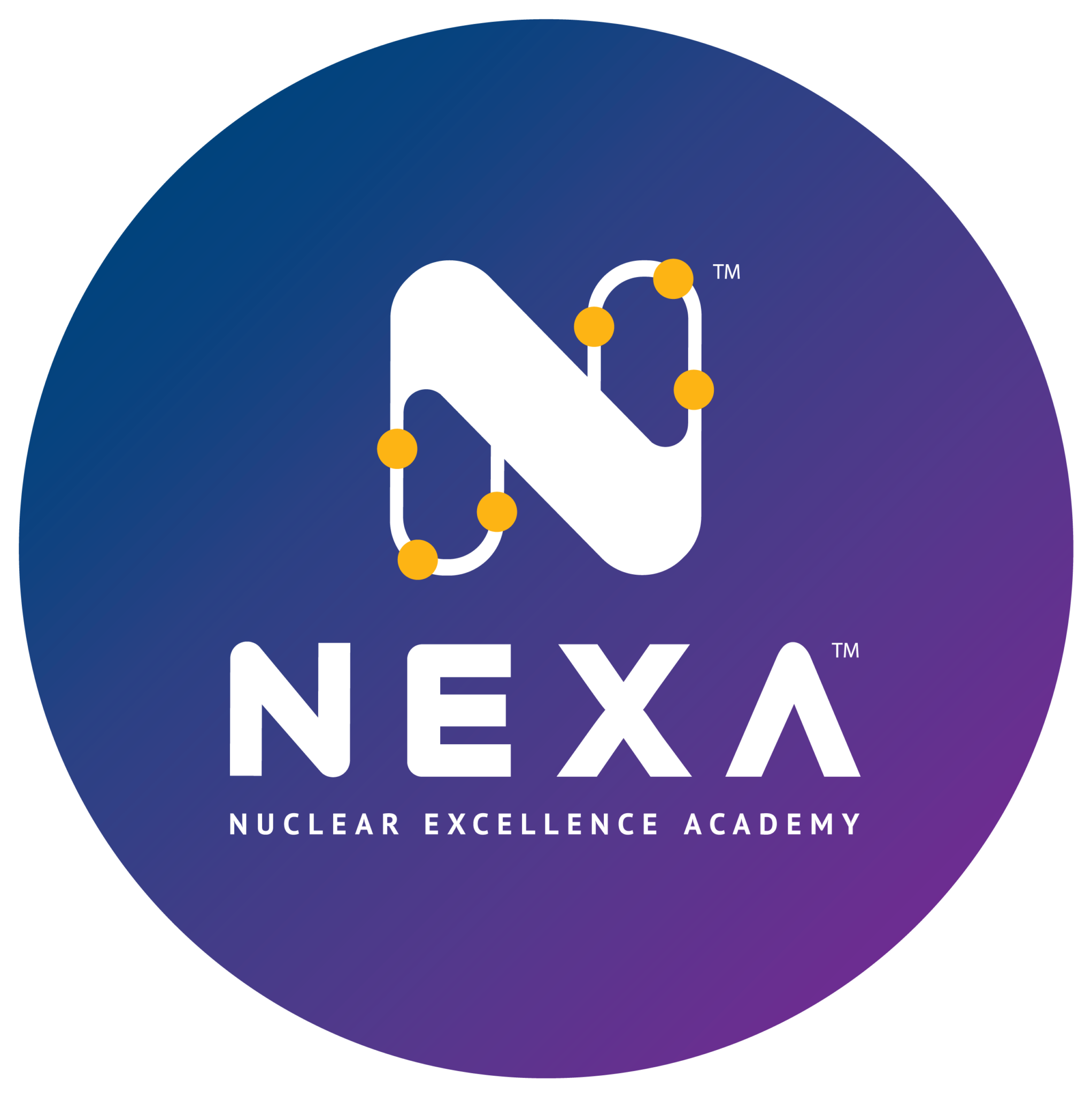 The Modernization and Transformation of Nuclear Training